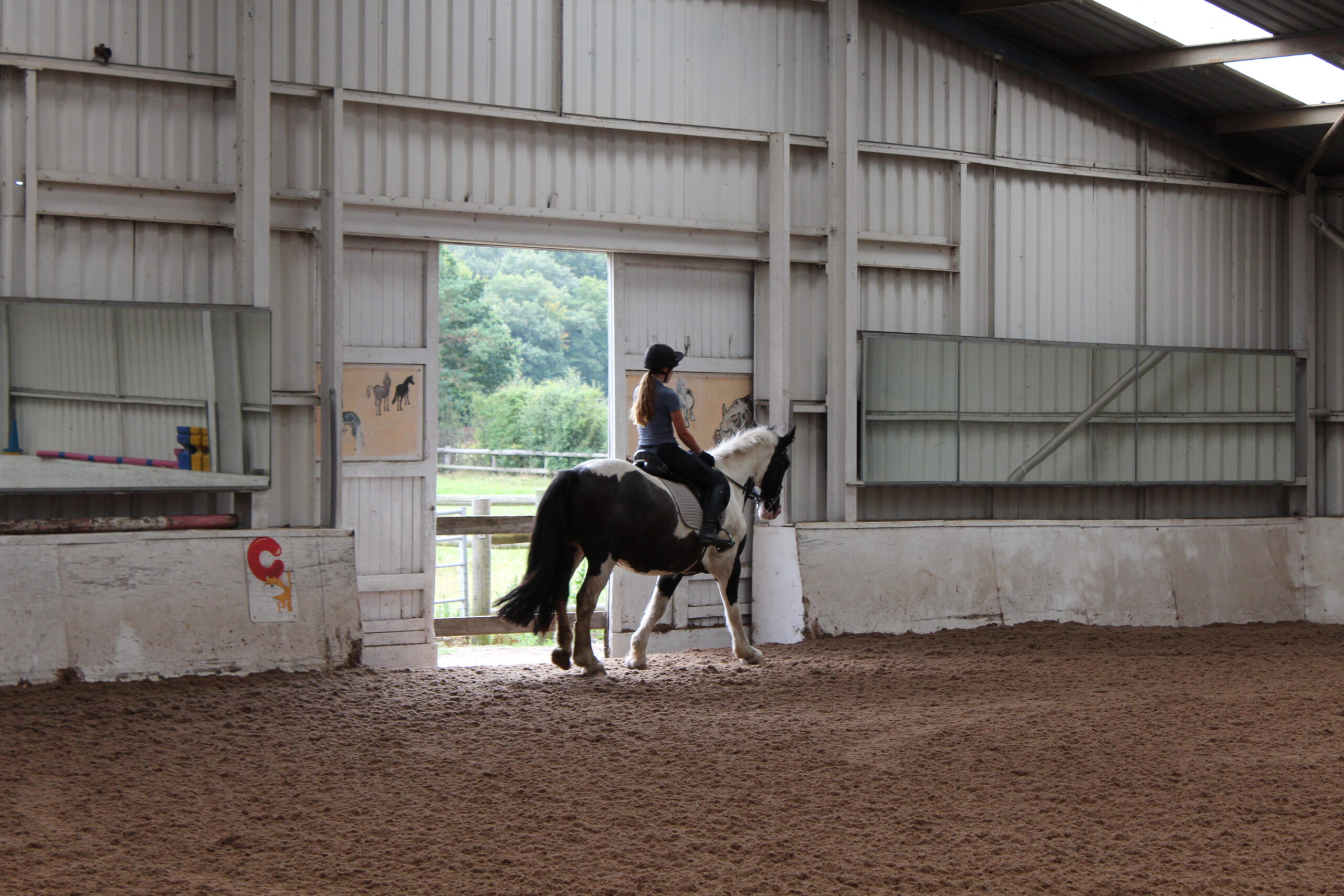 Activities - Follifoot Park Riding Centre near Harrogate