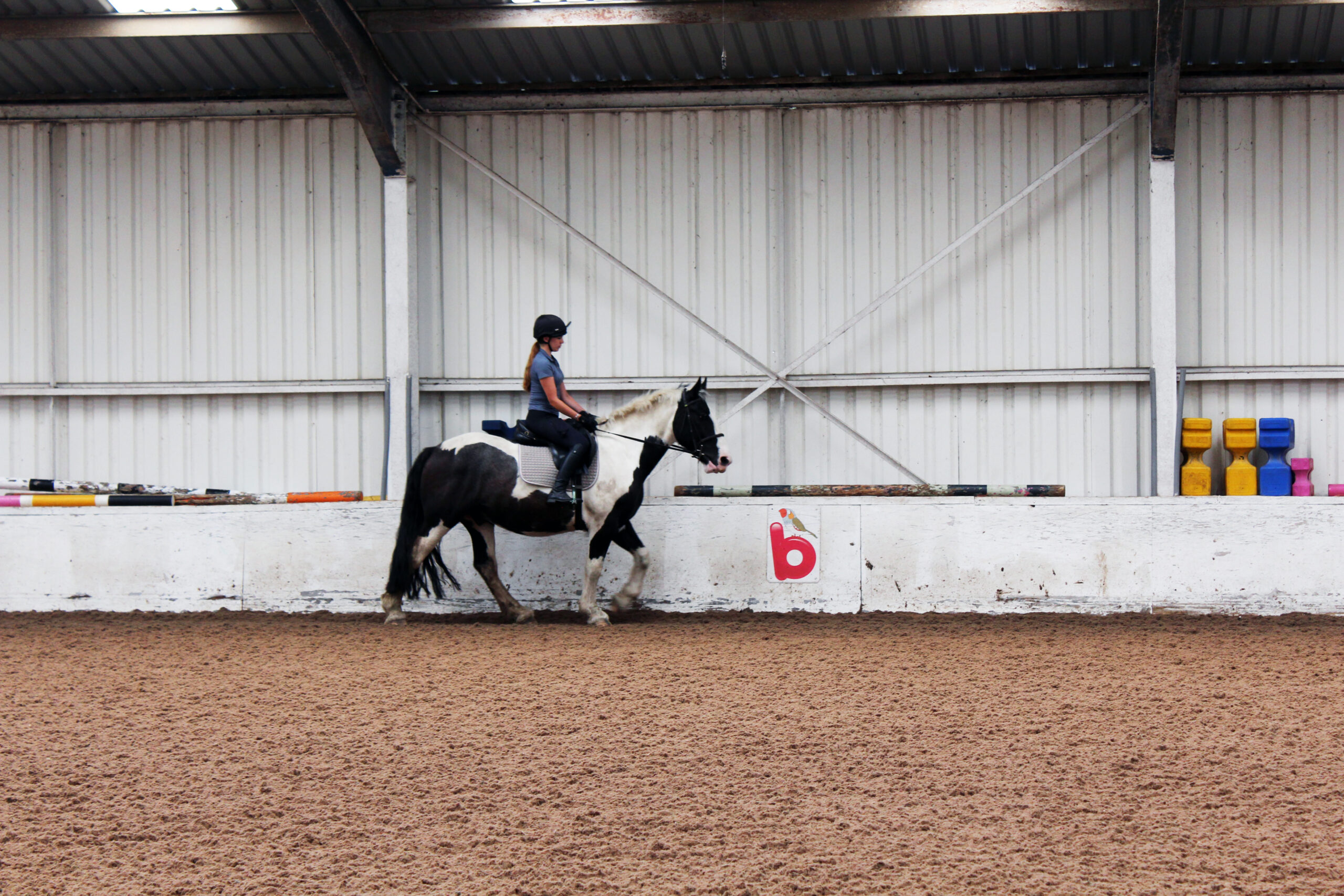 Activities - Follifoot Park Riding Centre near Harrogate