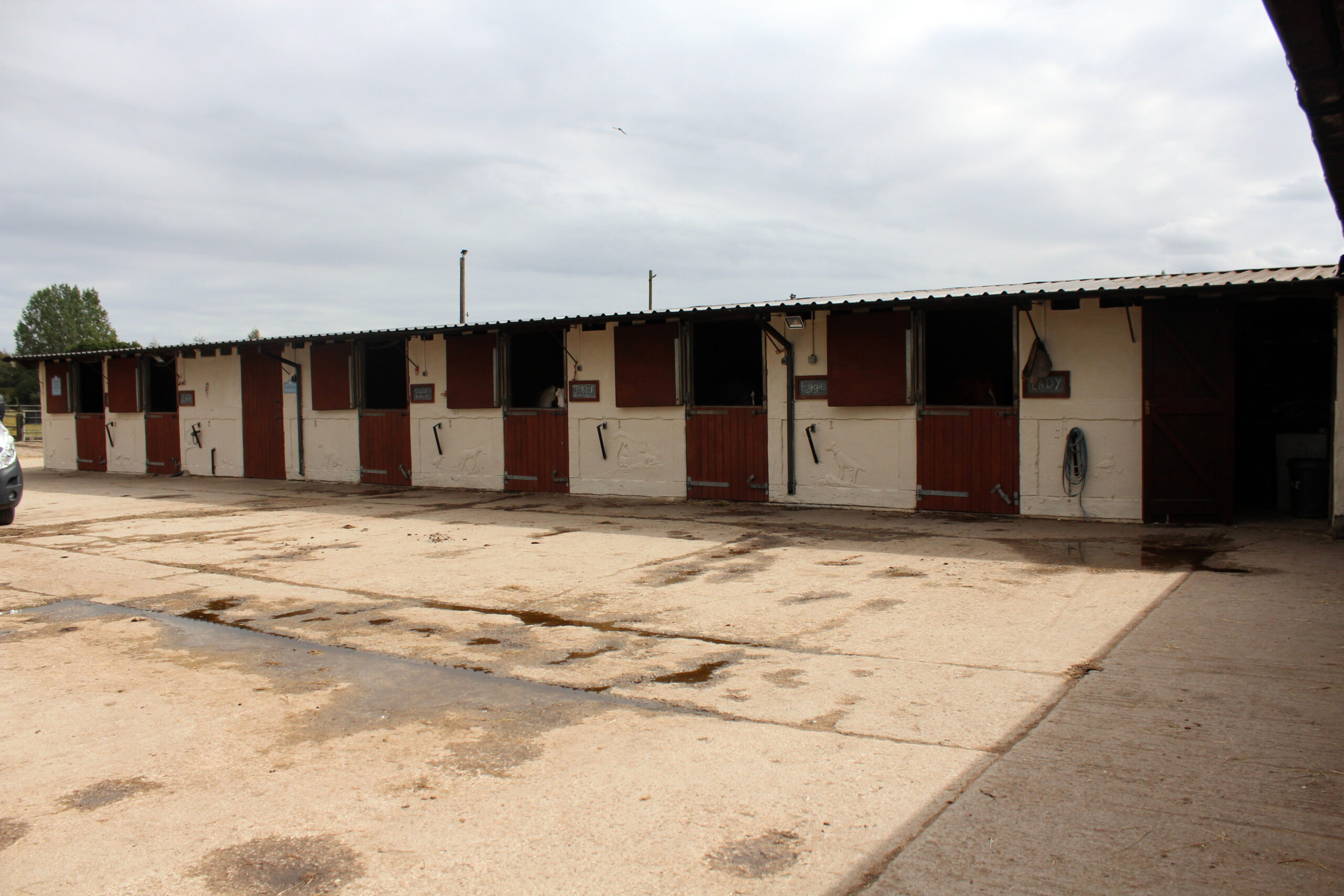 Activities - Follifoot Park Riding Centre near Harrogate