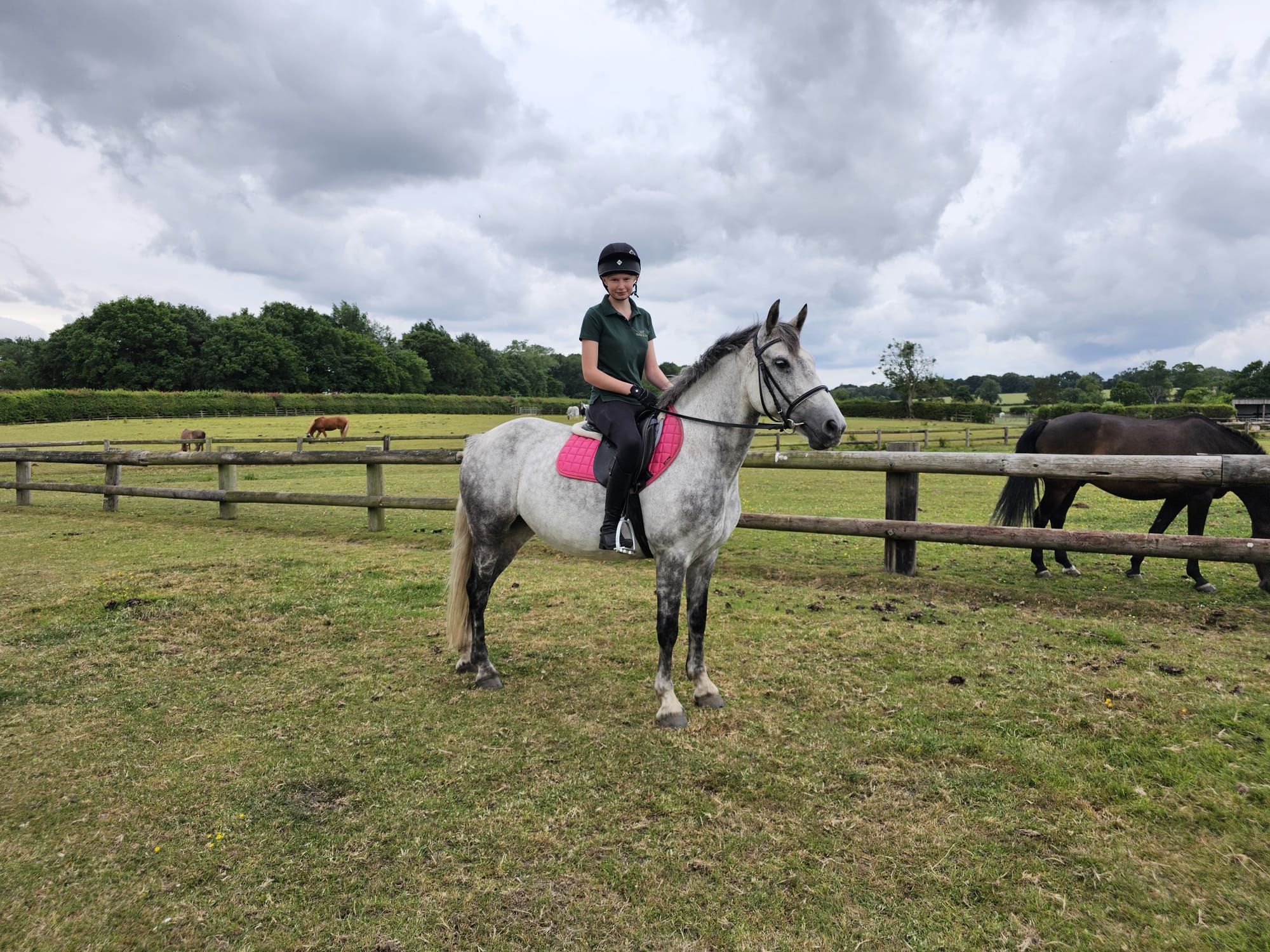 Riding Lessons for Children - Follifoot Park Riding Centre near Harrogate